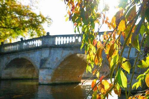 Freshers' Week Timetable | Clare MCR